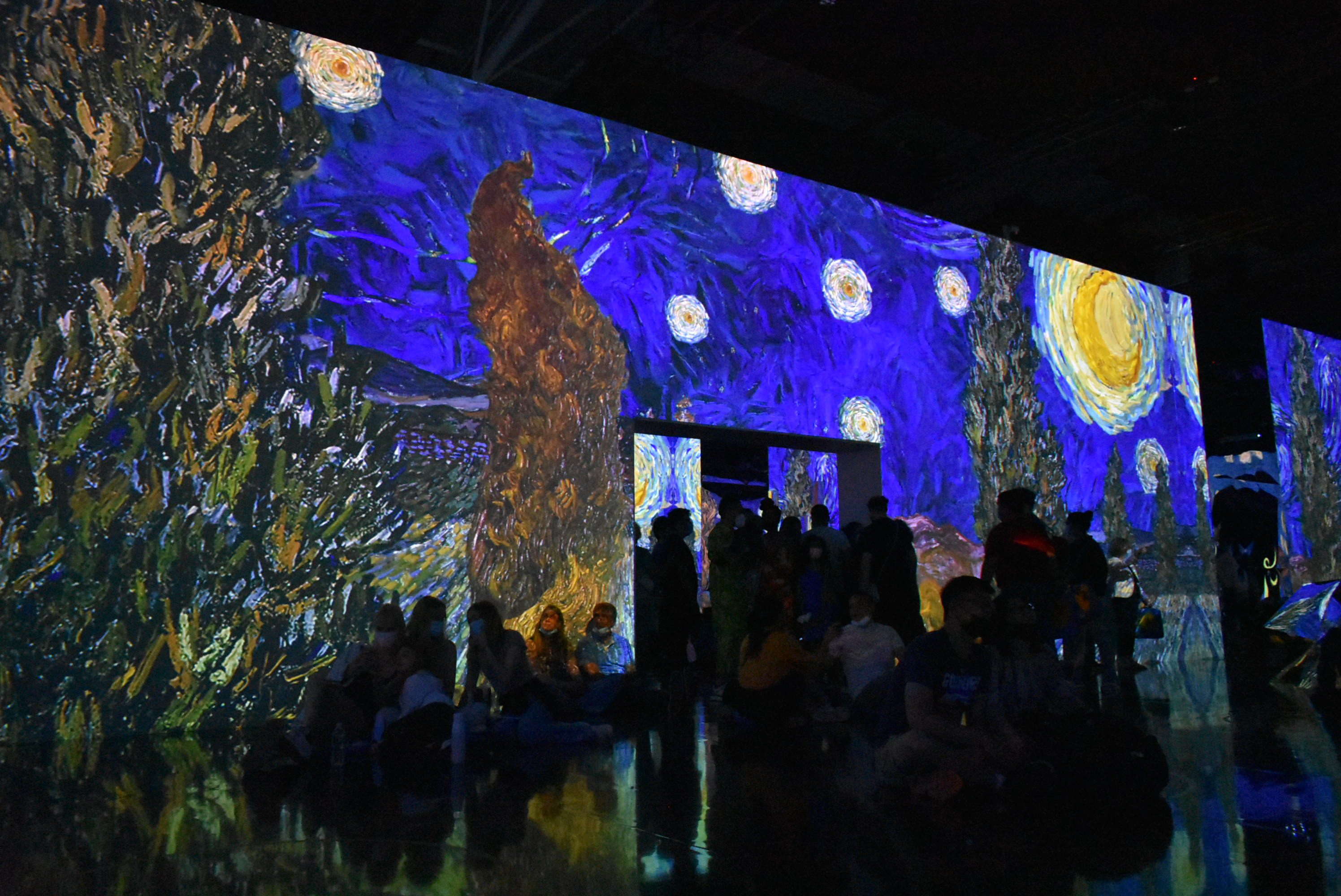 PHOTOS: A Look at the Immersive Van Gogh Exhibit in New York - City Limits