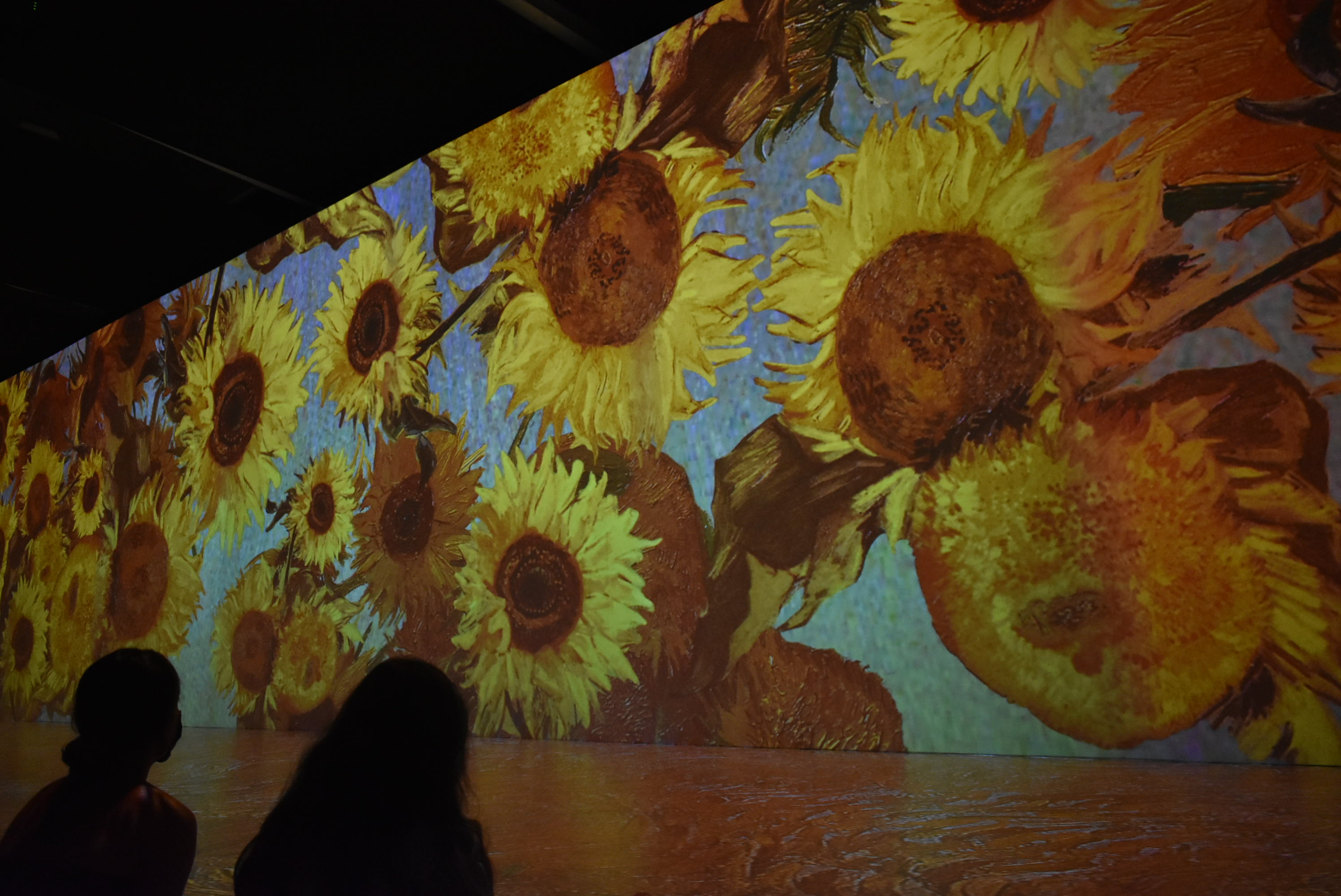PHOTOS: A Look at the Immersive Van Gogh Exhibit in New York - City Limits