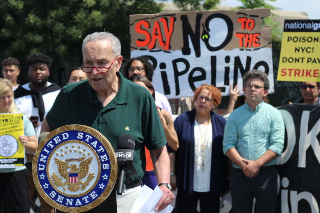 State Delays Decision on National Grid Expansion of Greenpoint Gas ...