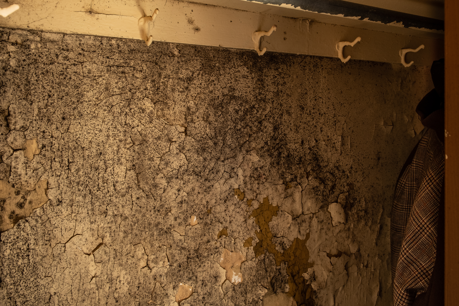 NYC Housing Calendar, Oct. 20-27 - City Limits