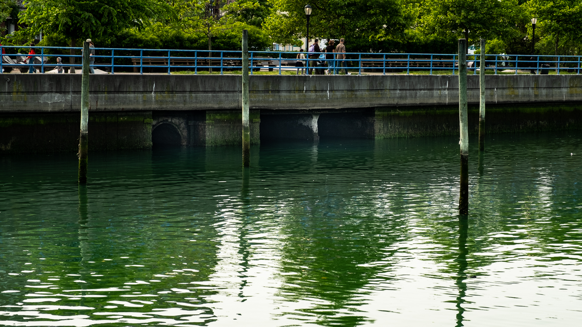 Beach Season is Here. How Clean is the Water in NYC? - City Limits