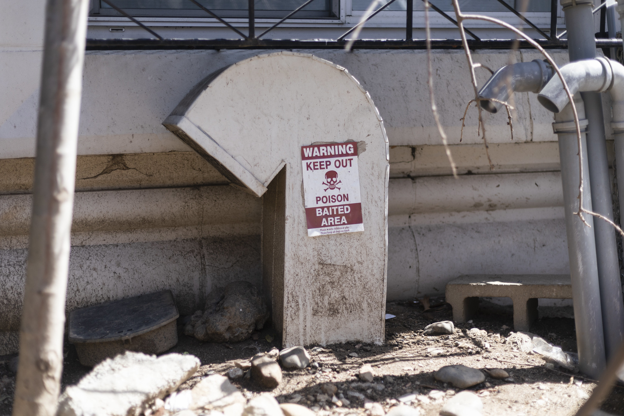 Opinion: One Way To Stop The Rats? Turn Away From Fines. - City Limits