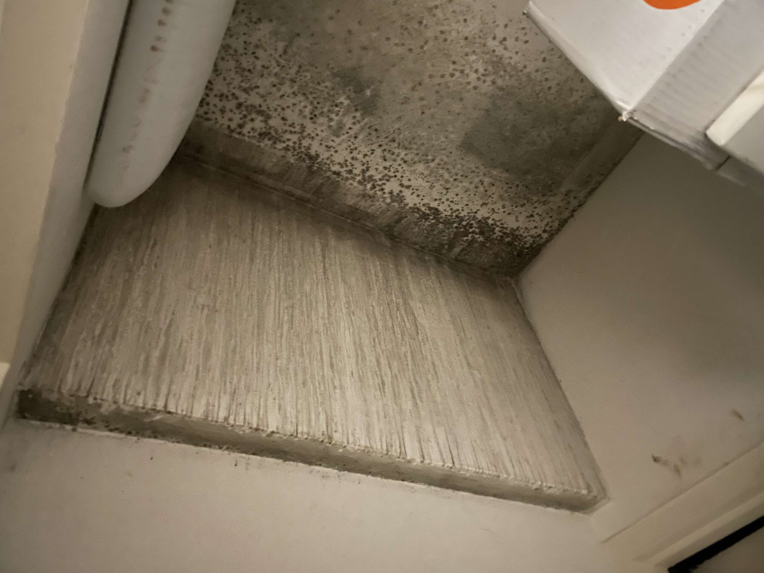 NYCHA Has Ignored Mold at This Brooklyn After-School Center for a Year ...