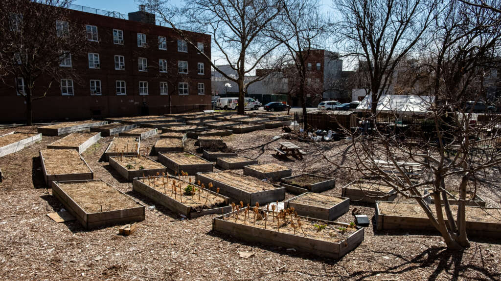 While Many NYCHA Residents Remain Skeptical of Private Management, This ...