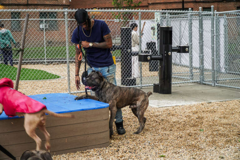 Four More NYCHA Developments to Get Open Space Upgrades Under Green ...